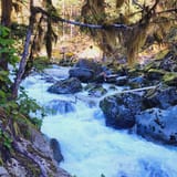 Staircase Rapids Loop, Washington - 2,453 Reviews, Map | AllTrails