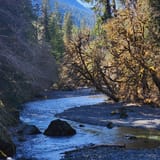 Staircase Rapids Loop, Washington - 2,453 Reviews, Map | AllTrails
