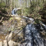 Fall Branch Falls Trail, Georgia - 1,205 Reviews, Map | AllTrails