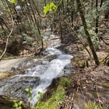 Fall Branch Falls Trail, Georgia - 1,205 Reviews, Map | AllTrails