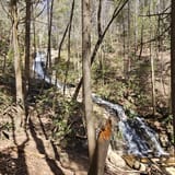 Fall Branch Falls Trail, Georgia - 1,205 Reviews, Map | AllTrails