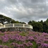 Southern Ridges and Labrador Park Loop, Central, Singapore - 352 ...