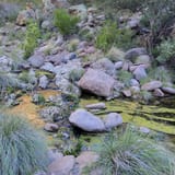 Hackberry Springs Loop, Arizona - 1,742 Reviews, Map | AllTrails