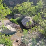 Hackberry Springs Loop, Arizona - 1,742 Reviews, Map | AllTrails