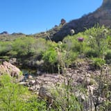 Hackberry Springs Loop, Arizona - 1,742 Reviews, Map | AllTrails