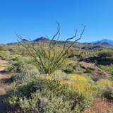 Hackberry Springs Loop, Arizona - 1,742 Reviews, Map | AllTrails