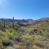 Hackberry Springs Loop, Arizona - 1,742 Reviews, Map | AllTrails