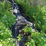 Barnhardt Trail Waterfall, Arizona - 929 Reviews, Map | AllTrails