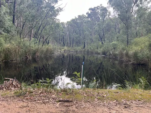 Best Camping Trails in Bunyip State Park | AllTrails