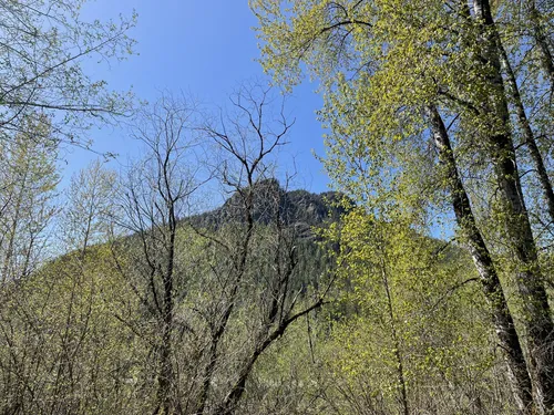Best Hikes and Trails in Three Forks Park | AllTrails
