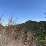 Mount Washington Trail, Washington - 2,780 Reviews, Map | AllTrails