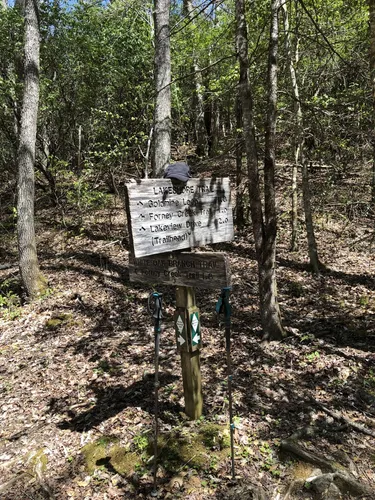 Best Fishing Trails in Fontana Dam | AllTrails Best Fishing Trails in Fontana Dam | AllTrails