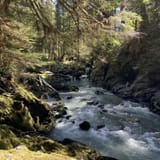 Boulder River Trail, Washington - 1,754 Reviews, Map | AllTrails