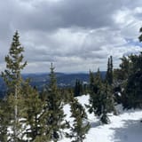 Chief Mountain Trail, Colorado - 8,437 Reviews, Map | AllTrails