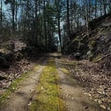 Grand Trunk Trail, Massachusetts - 401 Reviews, Map | AllTrails