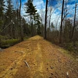 Grand Trunk Trail, Massachusetts - 401 Reviews, Map | AllTrails
