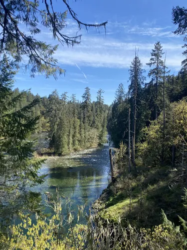 Best Hikes and Trails in Stamp River Provincial Park | AllTrails