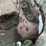 Hole-in-the-Wall from Rialto Beach, Washington - 4,689 Reviews, Map ...