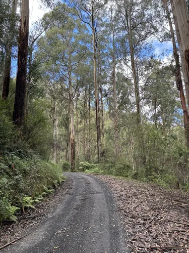 Best Historic Site Trails in Yarra Junction | AllTrails
