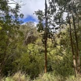 Kahakapao Loop Trail, Maui, Hawaii - 2,214 Reviews, Map | AllTrails