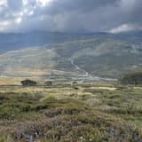 Main Range Walk, New South Wales, Australia - 903 Reviews, Map | AllTrails