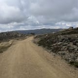 Main Range Walk, New South Wales, Australia - 903 Reviews, Map | AllTrails