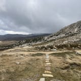 Main Range Walk, New South Wales, Australia - 903 Reviews, Map | AllTrails