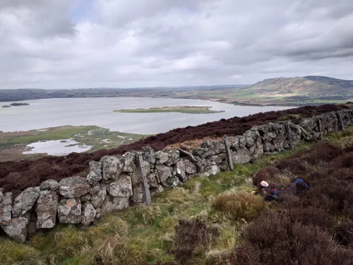 Best Walking Trails in Kelty | AllTrails
