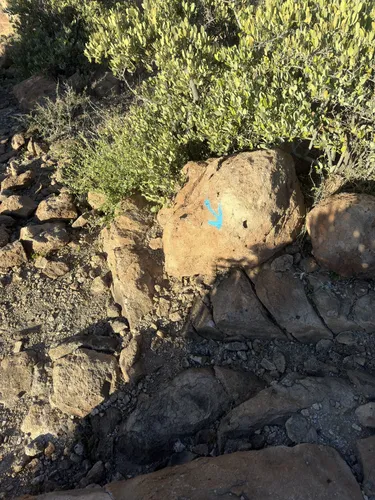 Best Hikes and Trails in Round Mountain Park | AllTrails