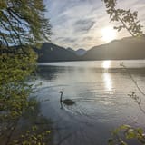 Alpsee Loop, Bavaria, Germany - 290 Reviews, Map | AllTrails