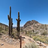 Freedom Trail (#302), Arizona - 4,387 Reviews, Map | AllTrails