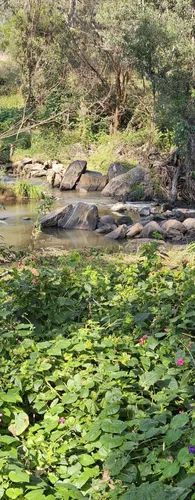 Best Hikes and Trails in Edenvale | AllTrails