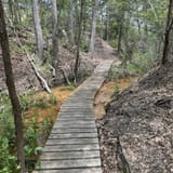 Lake Bryan Trail, Texas - 247 Reviews, Map | AllTrails