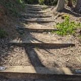 Doris Leeper Trail, Florida - 582 Reviews, Map | AllTrails