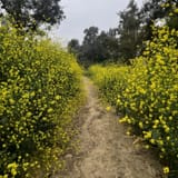 Murphy Ranch Trail , California - 1,492 Reviews, Map | AllTrails