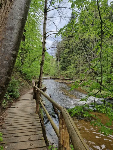 Best Lake Trails in Park Krajobrazowy Puszczy Solskiej | AllTrails