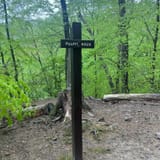 Southern Loop via Western Ridge Trail, Rock Creek, Valley Trail ...