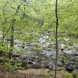 Southern Loop via Western Ridge Trail, Rock Creek, Valley Trail ...