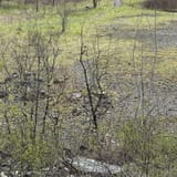 Edgecliff Loop, New York - 327 Reviews, Map | AllTrails