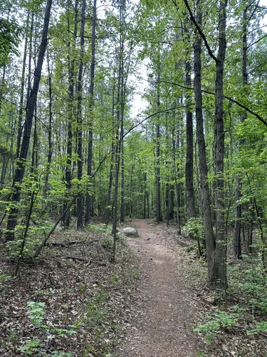 Best Walking Trails in Standing Boy Trails | AllTrails