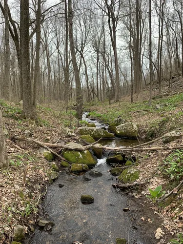 Best Hikes and Trails in Tarrywile Park | AllTrails