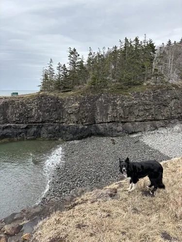 Best Kid Friendly Trails in Delaps Cove | AllTrails