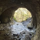 Patton Cave via Grubb Ridge and Hayes Trail, Indiana - 687 Reviews, Map ...