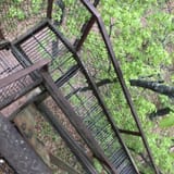 Roaring River Fire Tower Trail, Missouri - 768 Reviews, Map | AllTrails
