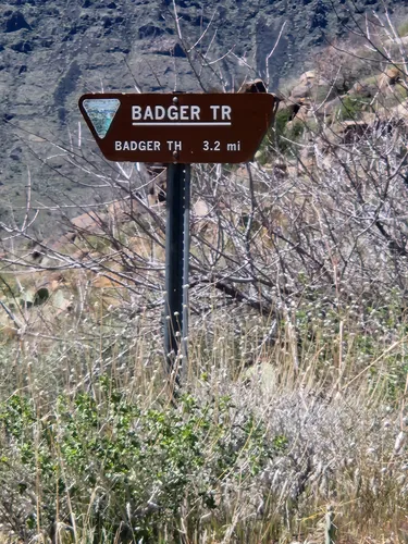 Best Long Trails in Cerbat Foothills Recreation Area | AllTrails