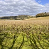Surrey Three Peaks - Boxhill, Holmbury Hill, Leith Hill, Surrey ...