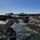 Rialto Beach Trail, Washington - 266 Reviews, Map | AllTrails