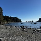 Rialto Beach Trail, Washington - 349 Reviews, Map | AllTrails
