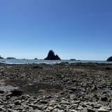 Rialto Beach Trail, Washington - 349 Reviews, Map | AllTrails