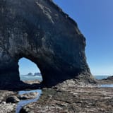 Rialto Beach Trail, Washington - 282 Reviews, Map | AllTrails